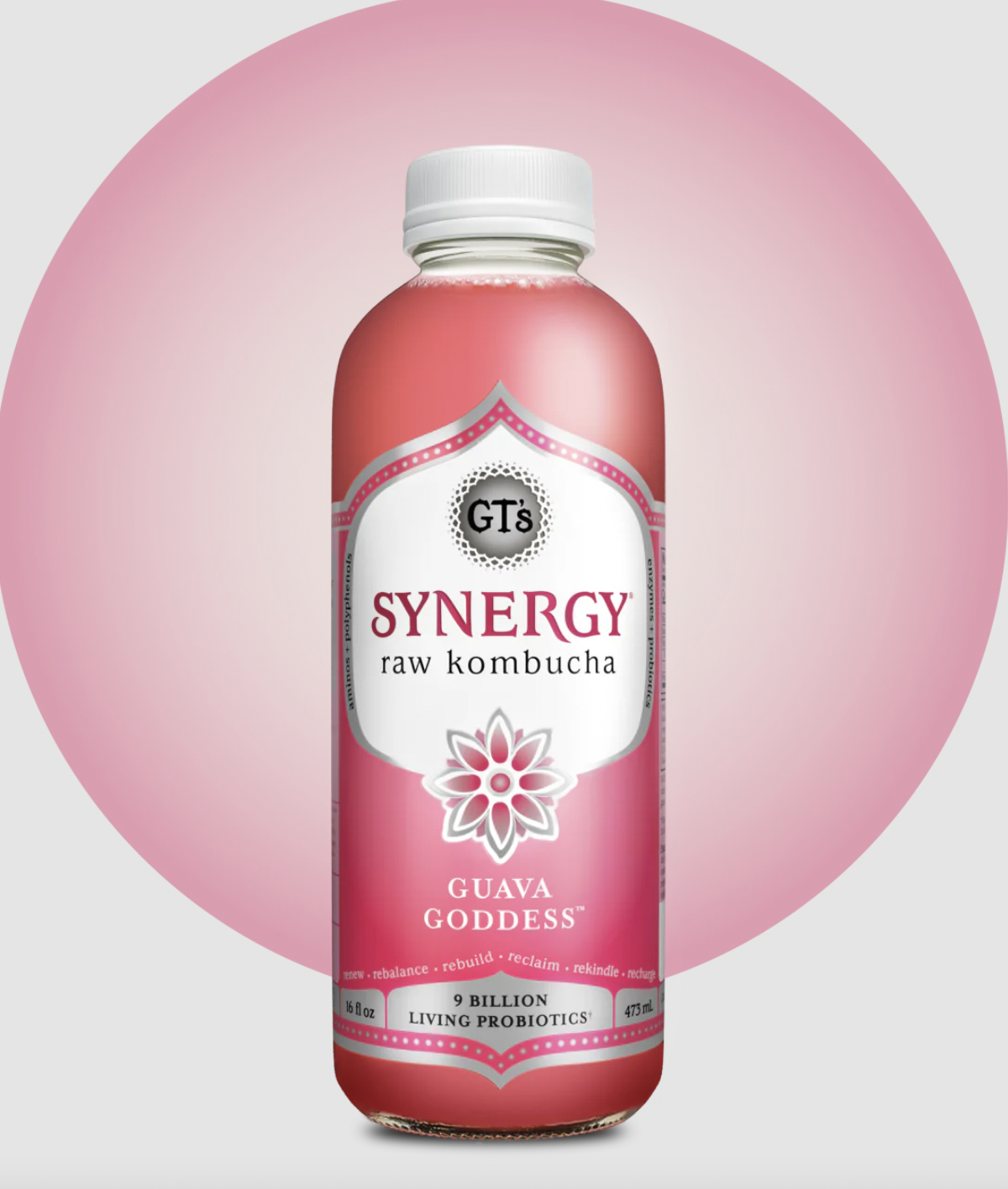 GT's Synergy Guava Goddess Organic Kombucha - 16 fl oz | PRIMO PASSO ...